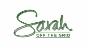 Sarah Off The Grid (2017) movie posters
