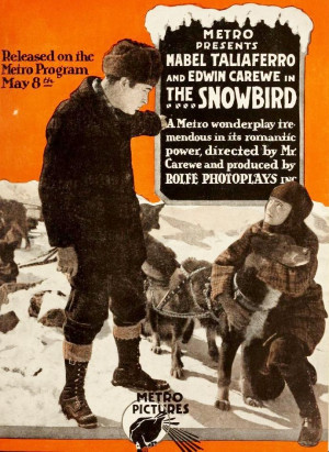 The Snowbird (1916) movie posters