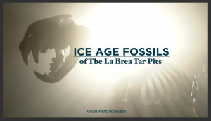 Ice Age Fossils of the La Brea Tar Pits (2004) movie posters