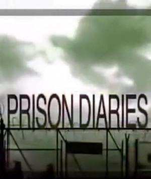 Prison Diaries (2011) movie posters