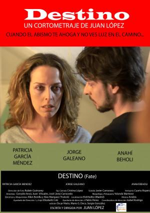 Destino (2013) movie posters