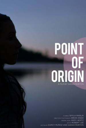Point of Origin (2014) movie posters