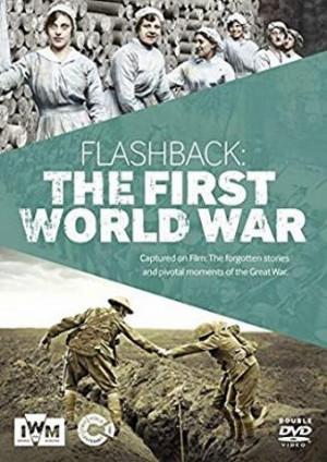 Flashback: The First World War (2014) movie posters