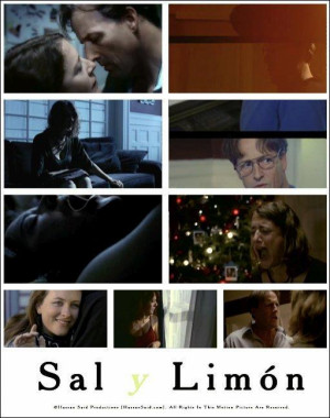Sal y Limon (2015) movie posters
