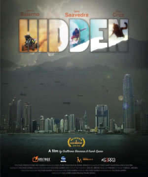 HIDDEN (2016) movie posters