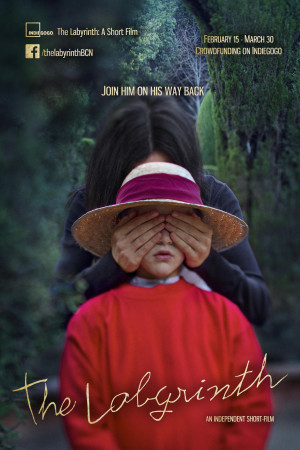 The Labyrinth (2017) movie posters