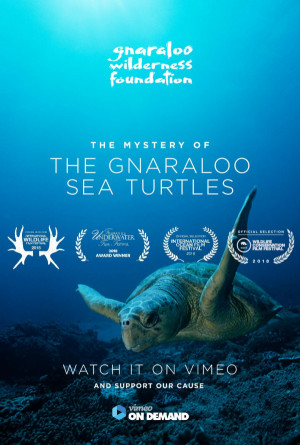 The Mystery of the Gnaraloo Sea Turtles (2018) movie posters